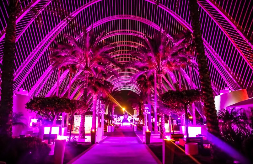 Terraza L'Umbracle | Convention Bureau